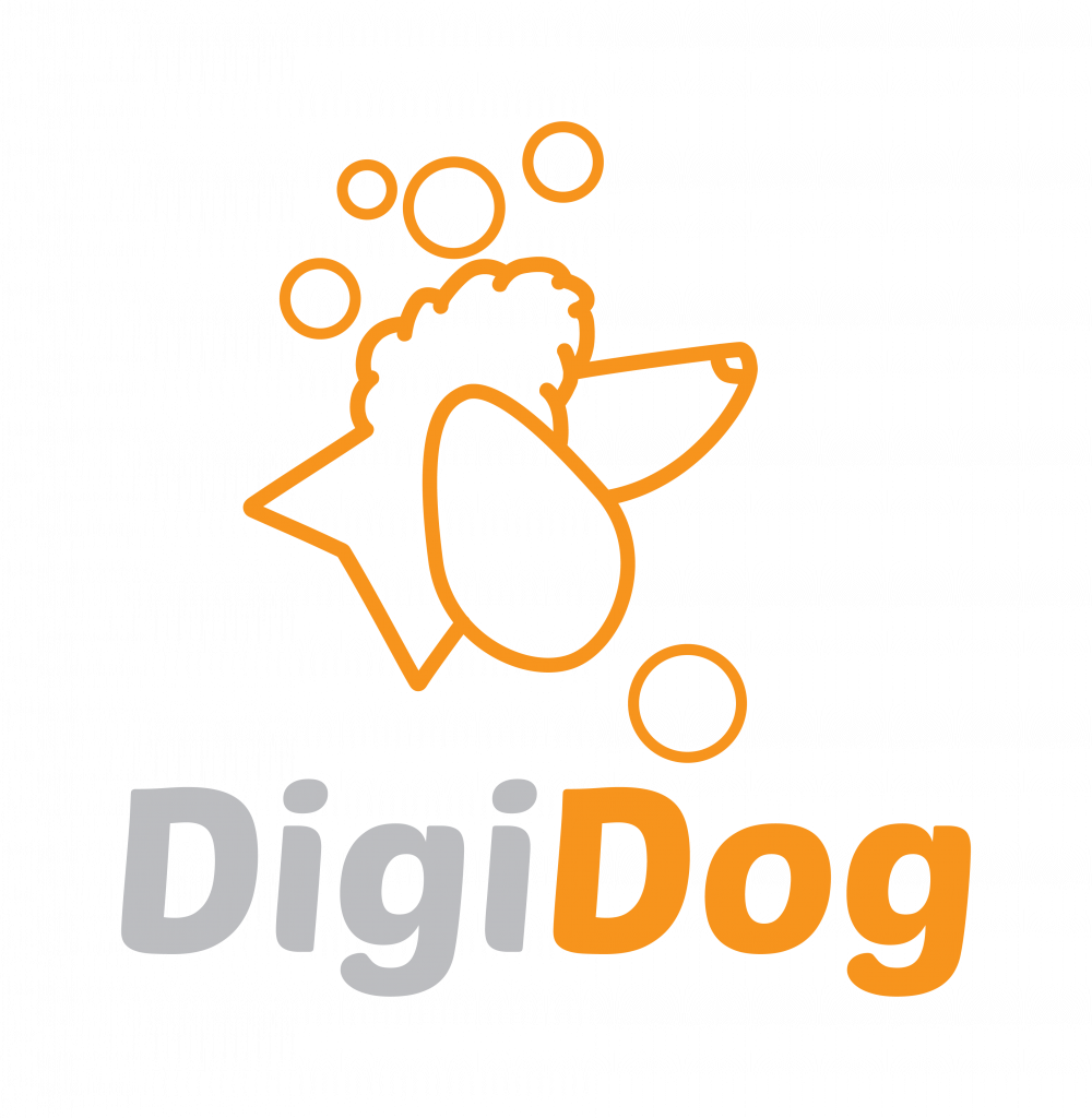 Kontakt - DigiVet - Zielonki, Michałowice, Kraków, Skała